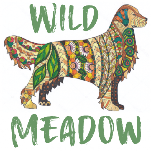 Hunde - Wild Meadow Golden